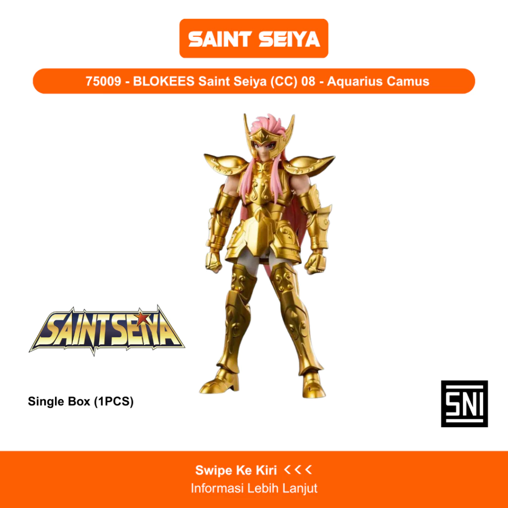 BLOKEES Saint Seiya Champion Class CC08 Aquarius Camus – Action Figure ...